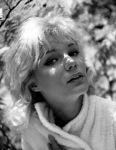 54 Stunning Photos of American Actress Yvette Mimieux during the 1960s ...