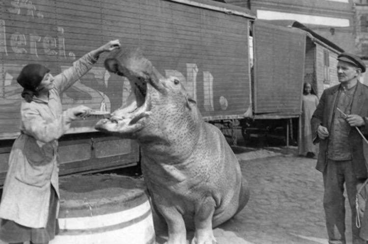 30 Vintage Photos of Circus Performers during the 1920s and 1930s ...