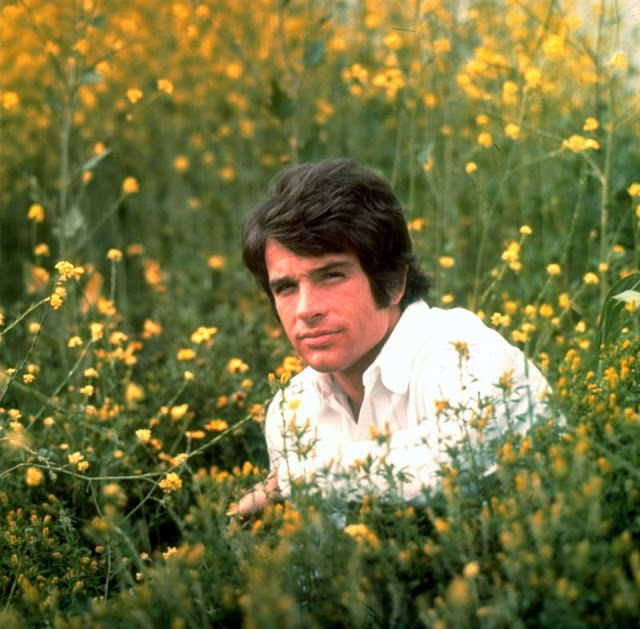 33 Handsome Photos of Warren Beatty in the 1950s and 1960s – Yesterday ...