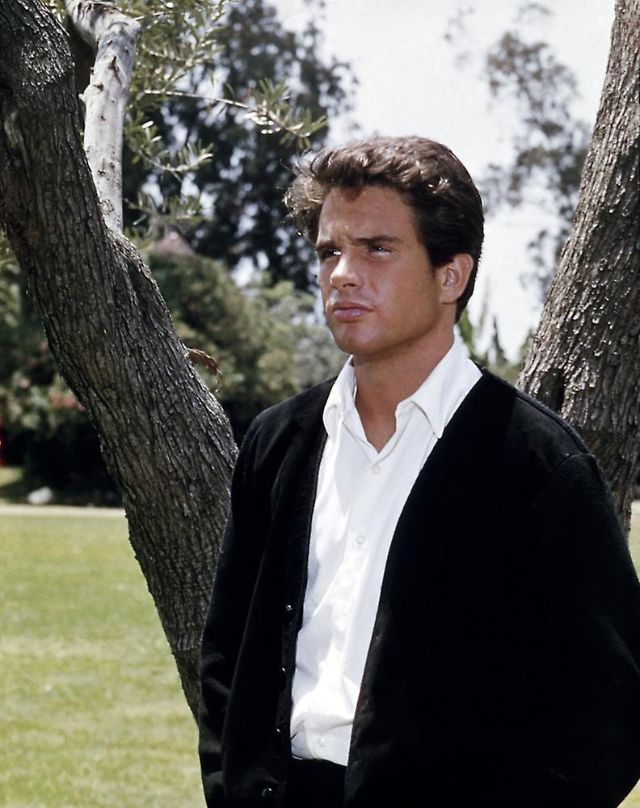 33 Handsome Photos of Warren Beatty in the 1950s and 1960s – Yesterday ...