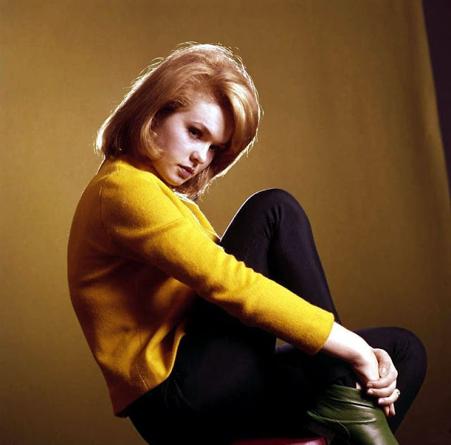 41 Stunning Photos of Singer & Actress Joey Heatherton During the 1960s ...