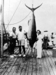 20 Amazing Photographs of Ernest Hemingway Posing With Big Fish ...