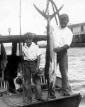 20 Amazing Photographs of Ernest Hemingway Posing With Big Fish ...
